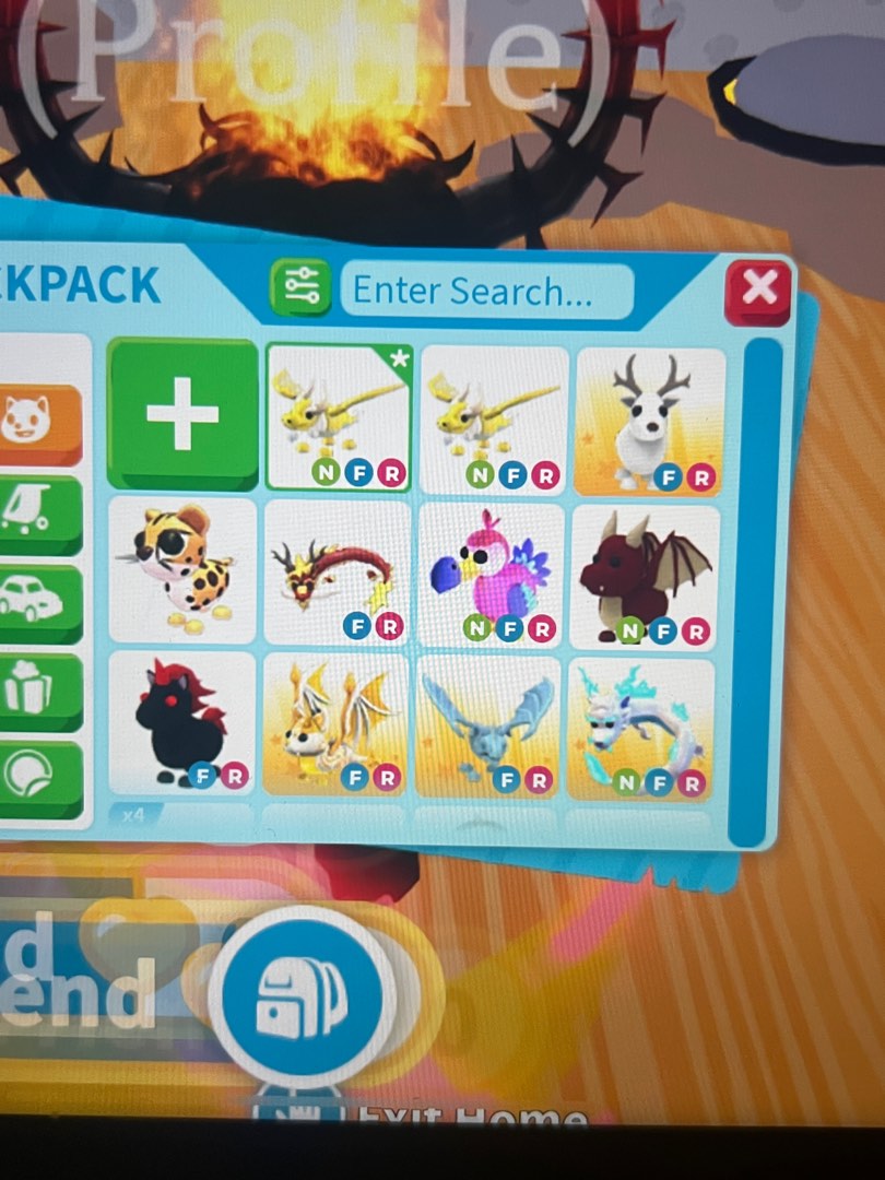 ADOPT ME PETS FOR SALE, Video Gaming, Video Games, Others on Carousell