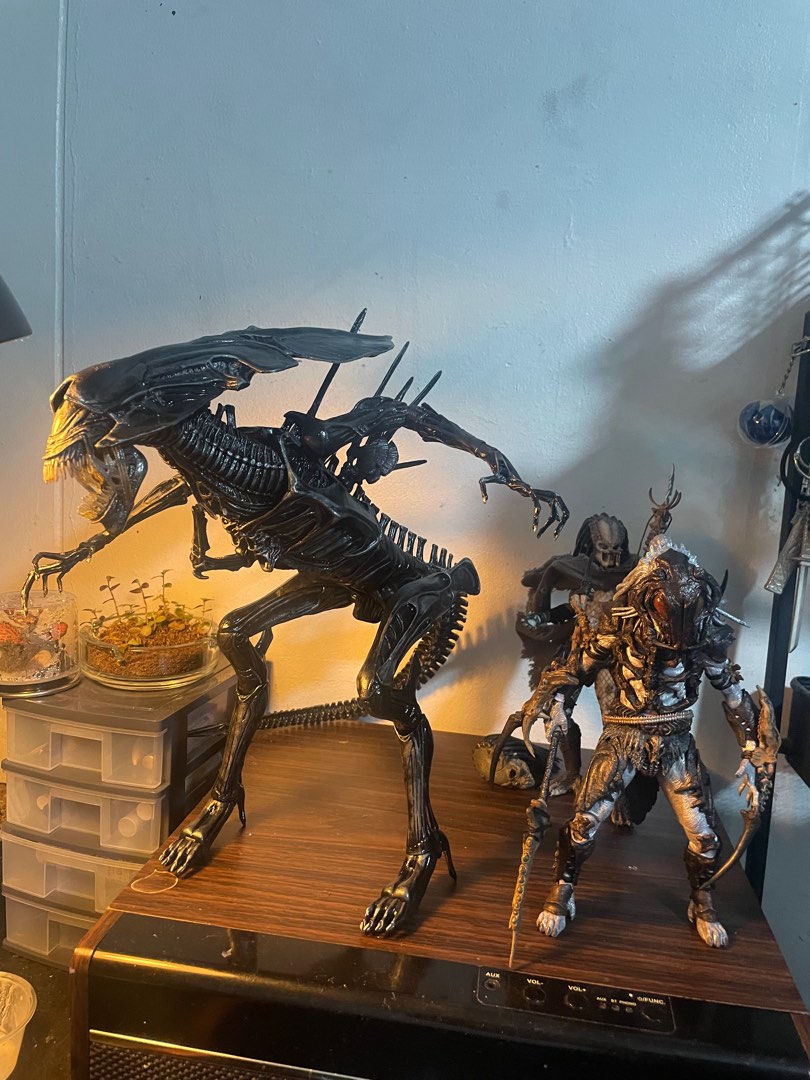 Neca Alien queen Repaint(black), Hobbies & Toys, Toys & Games on Carousell