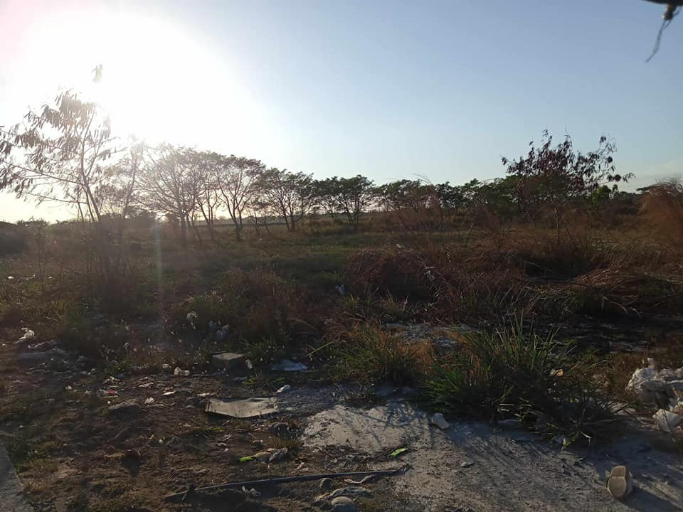 LOT for SALE Brgy. Punta Calamba Laguna, Property, For Sale, Lot on ...