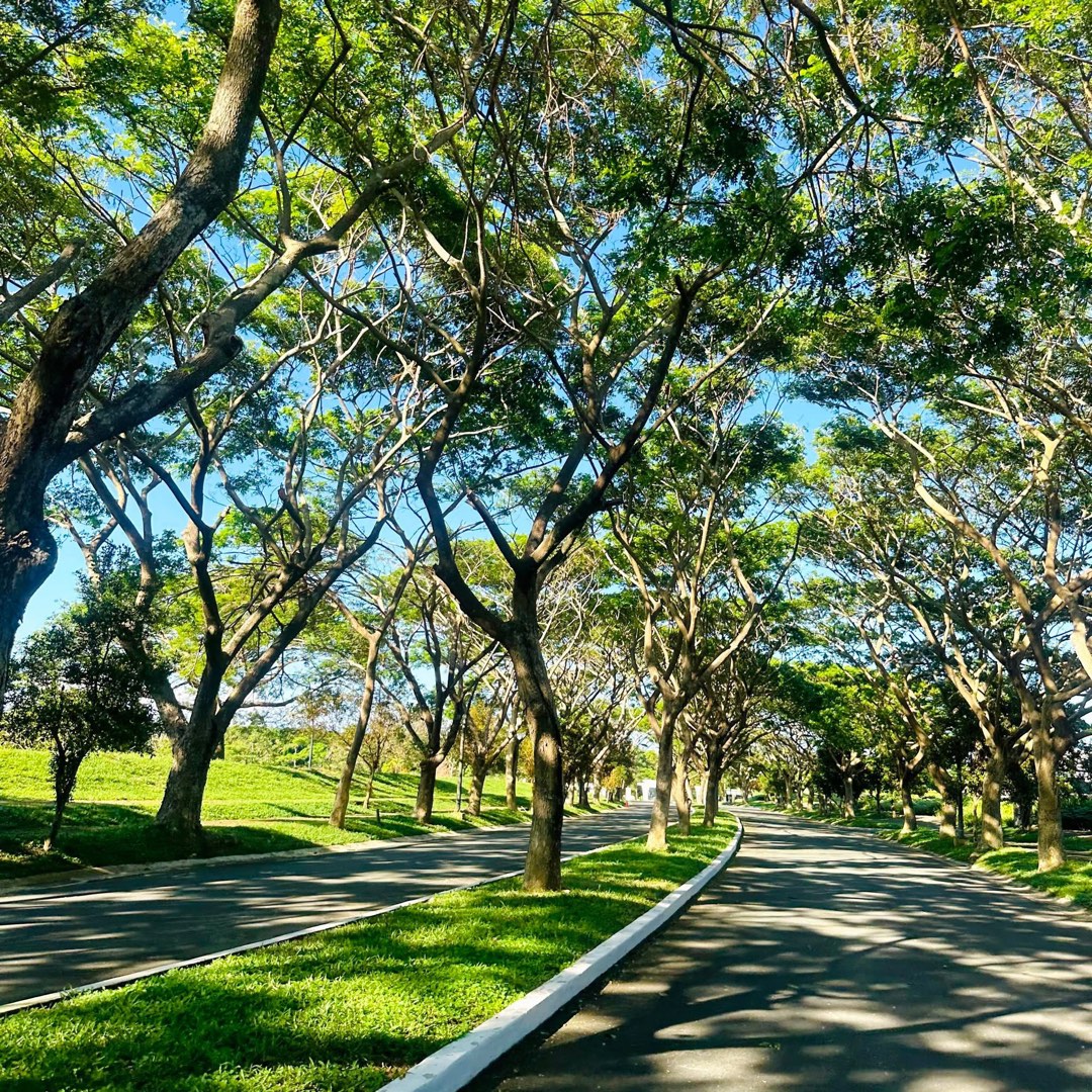 LUSCARA NUVALI Ayala Land Premier Good Deal near riomonte cerilo elaro ...