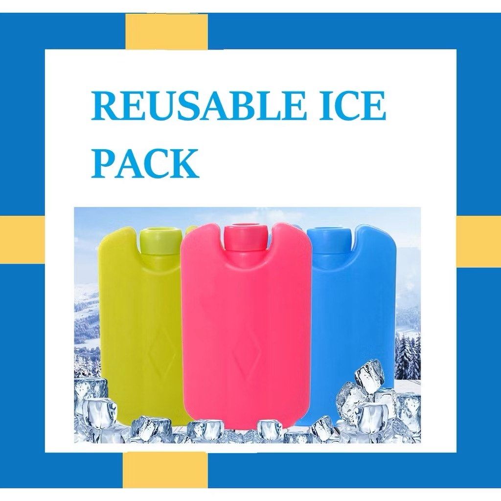 (PO) Reusable Ice Block, Everything Else on Carousell