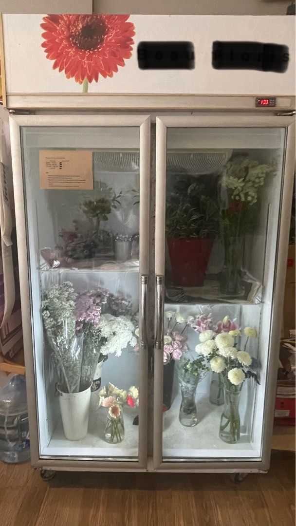 Chiller showcase GEA 2 pintu. Bisa dipakai untuk bunga/minuman ...