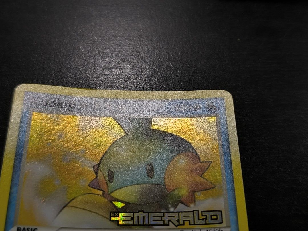 mudkip ex emerald