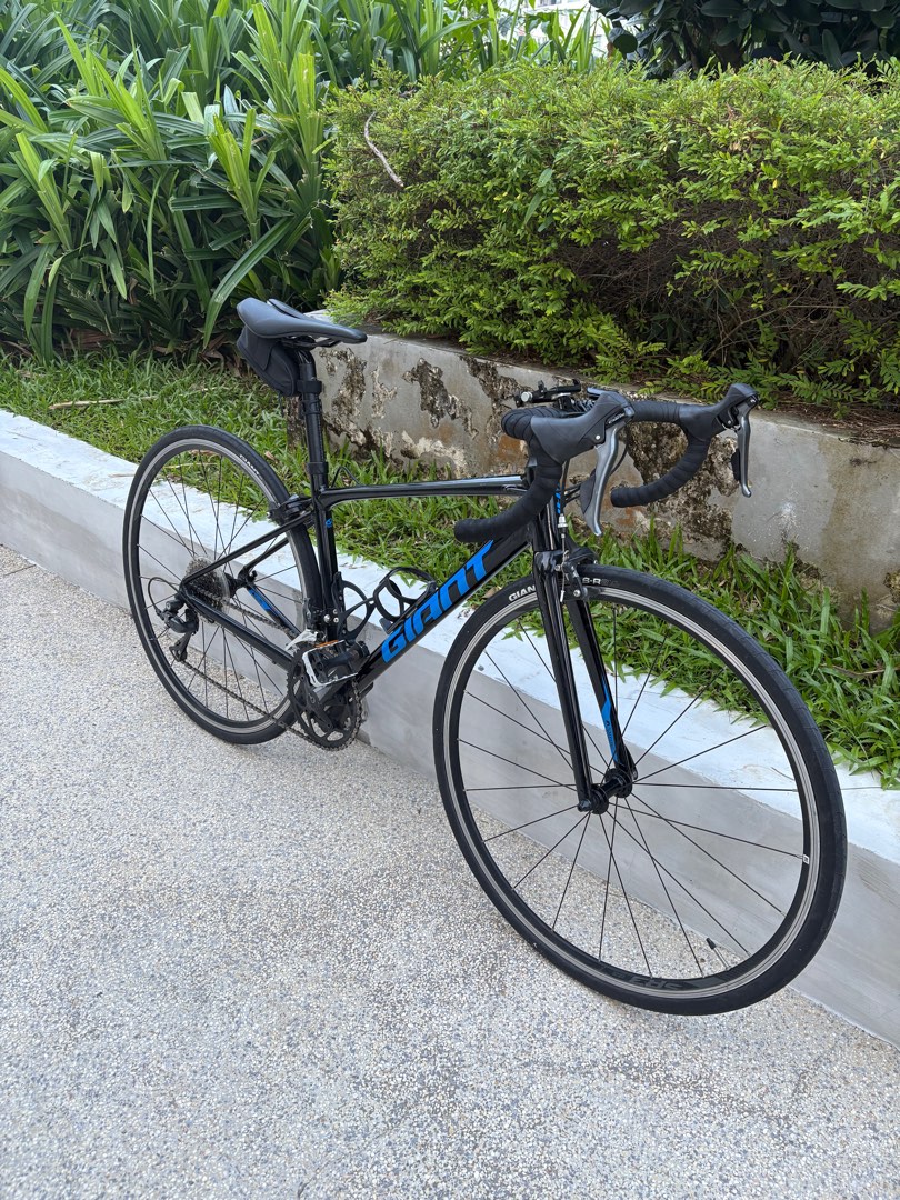 Giant Contend 3 Road Bike, Sports Equipment, Bicycles & Parts, Bicycles ...