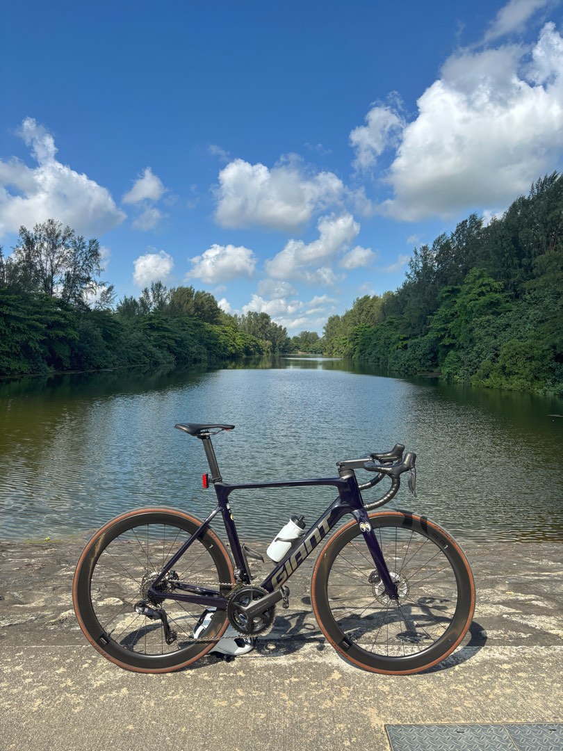 Giant Propel Advance Pro 0, Black Currant, Ultegra Di2 12s, Size M ...