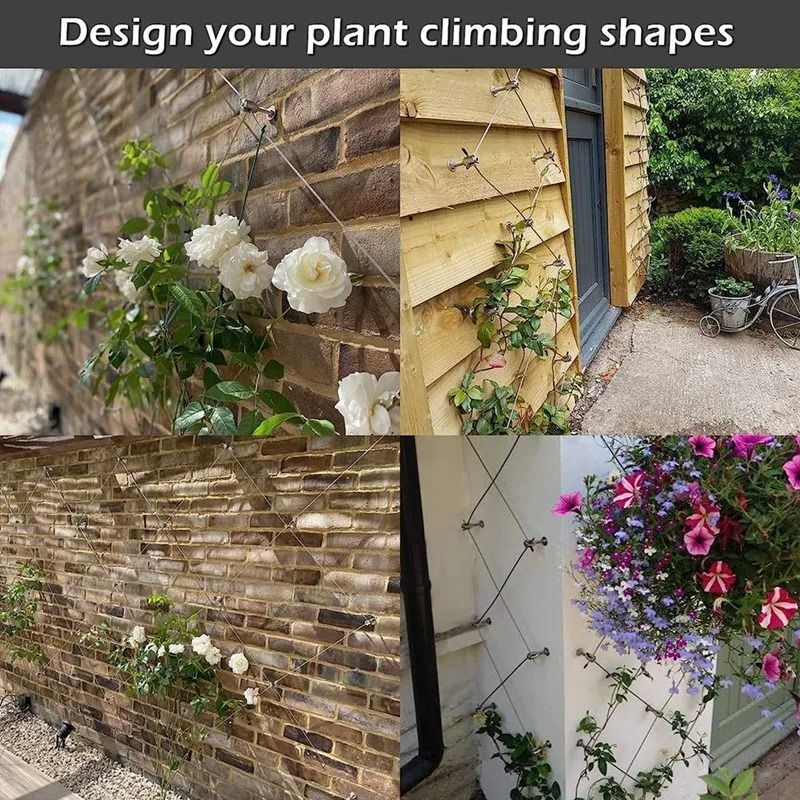 1 Sets Wire Trellis For Climbing Plants Outdoor, 316 Stainless Steel ...