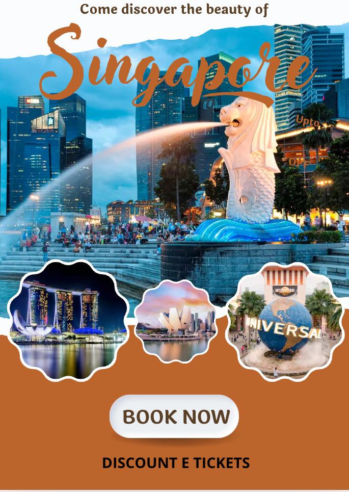Marina bay Skypark/Art Science Museum, Tickets & Vouchers, Local Attractions & Transport on ...