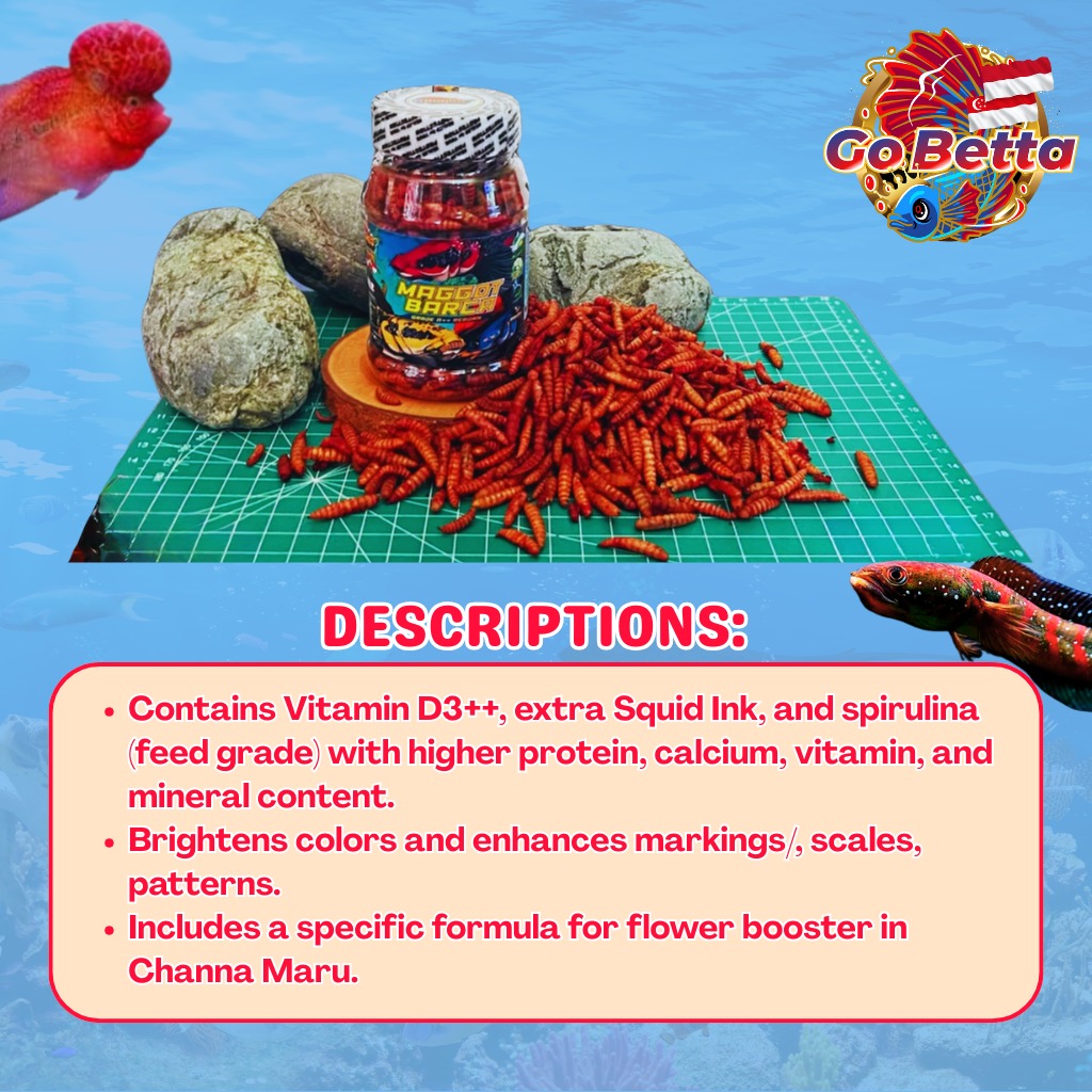 MAGGOT BARCA SUPER RED-YELLOW Predator Fish Feed – Premium Dry Maggot ...
