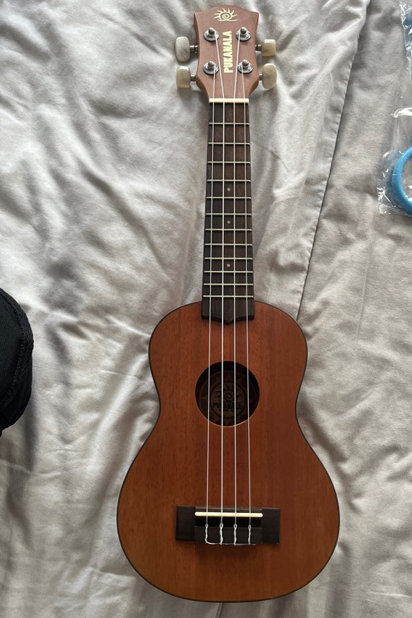 Ukulele, Hobbies & Toys, Music & Media, Musical Instruments on Carousell