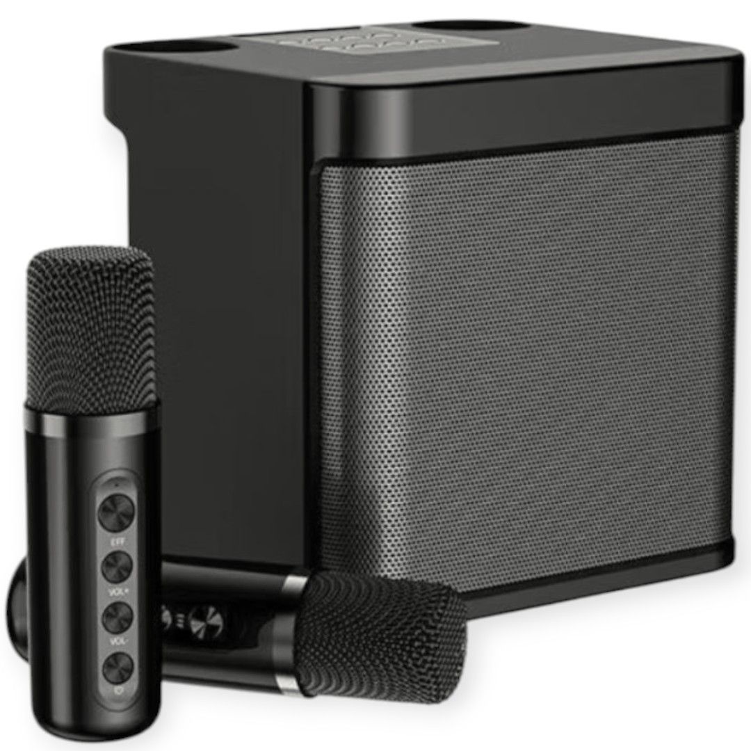 (INSTOCK) YS-203 Wireless Karaoke Speaker with 2 Mics, Audio ...
