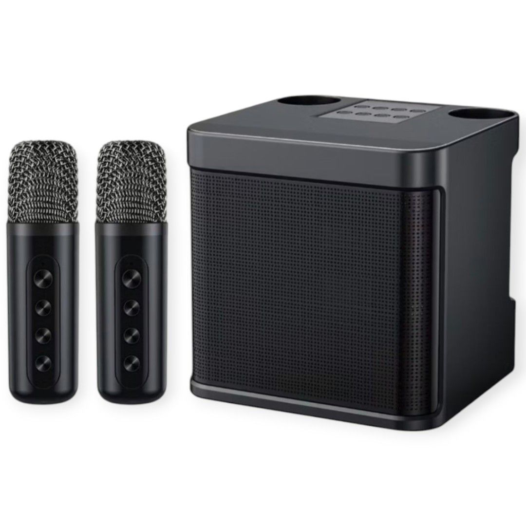 (INSTOCK) YS-203 Wireless Karaoke Speaker with 2 Mics, Audio ...