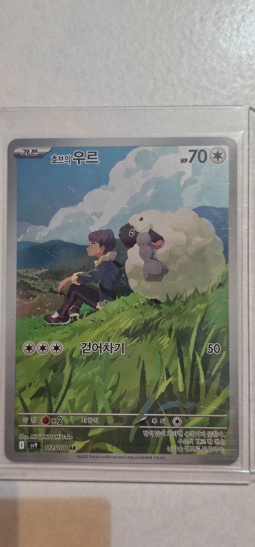 Hop's Wooloo AR Pokemon Korean Battle Partners, Hobbies & Toys, Toys ...