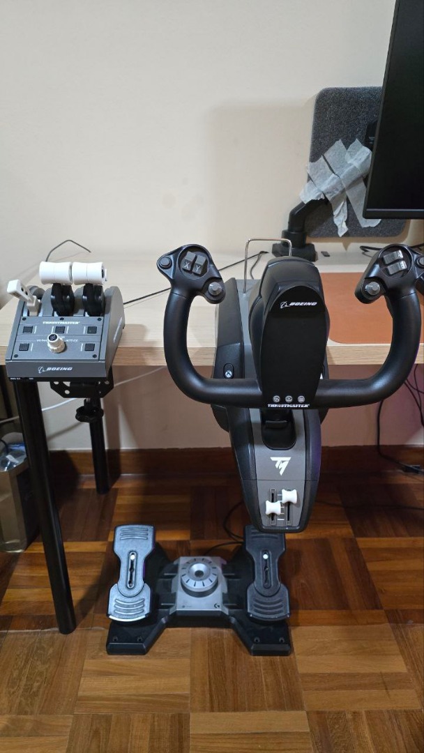 Thrustmaster TCA Boeing Pack + Saitek Rudder Pedals, Video Gaming ...