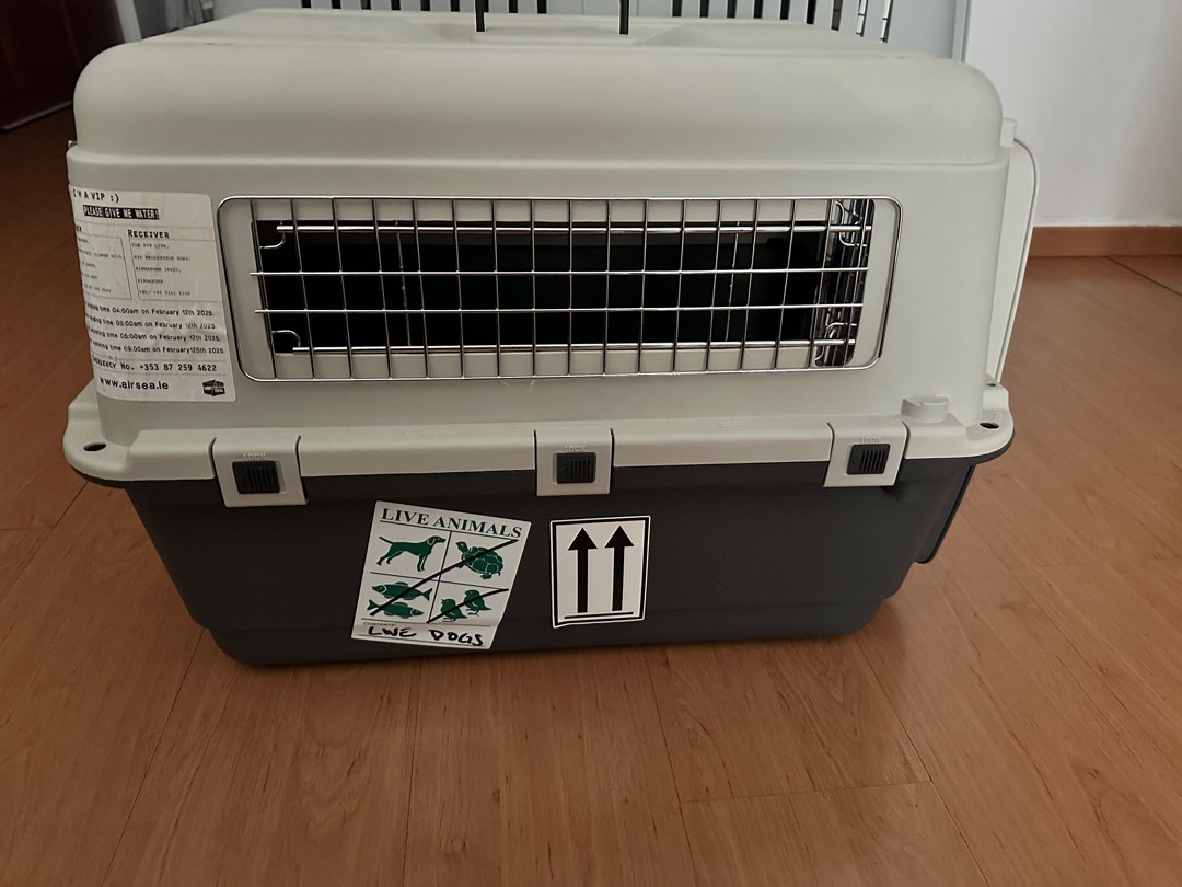 Dog crate IATA approved, Pet Supplies, Homes & Other Pet Accessories on ...