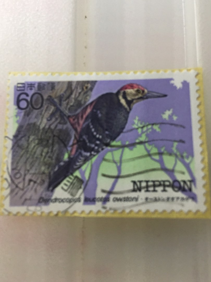 Postage stamp Japan 1984 Endangered Birds - White-backed Woodpecker ...