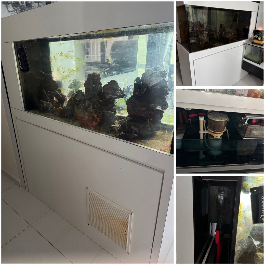 Custom 4 ft fish tank w cabinet & sump, Pet Supplies, Homes & Other Pet ...