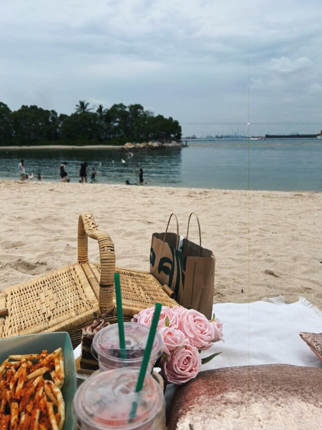 Beach Picnic Basket Rental Set, Furniture & Home Living, Home ...