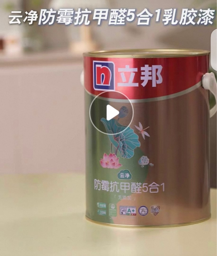 Nippon 5-in-1 Anti-Formaldehyde Interior Wall Paint - DIY Latex ...