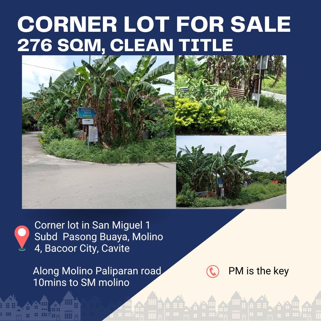 276 sqm Corner lot Molino 4 Bacoor Cavite, Property, For Sale, House & Lot on Carousell