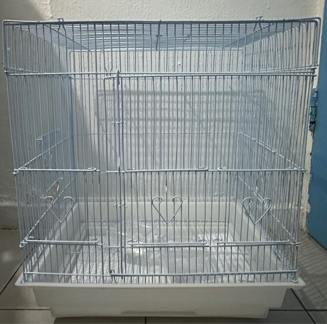 Bird cage, Pet Supplies, Homes & Other Pet Accessories on Carousell