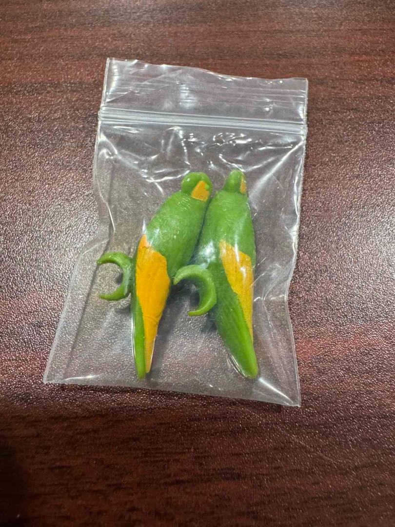 GI JOE SHIPWRECK POLLY PARROT, Hobbies & Toys, Toys & Games on Carousell