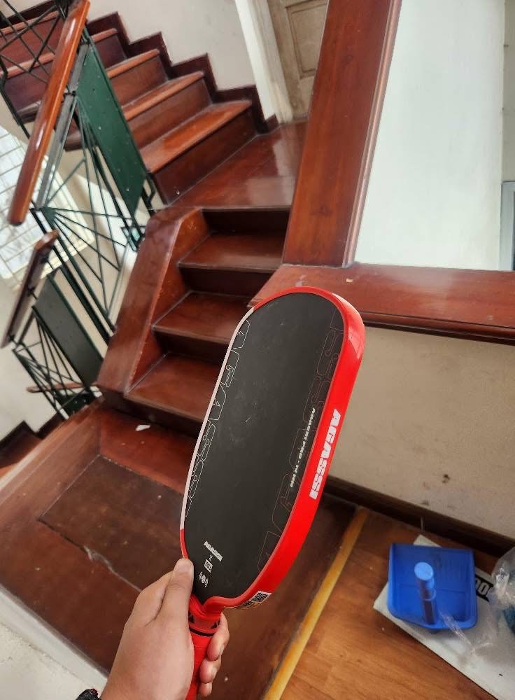 Joola Agassi Pro 14mm Pickleball Paddle, Sports Equipment, Sports ...