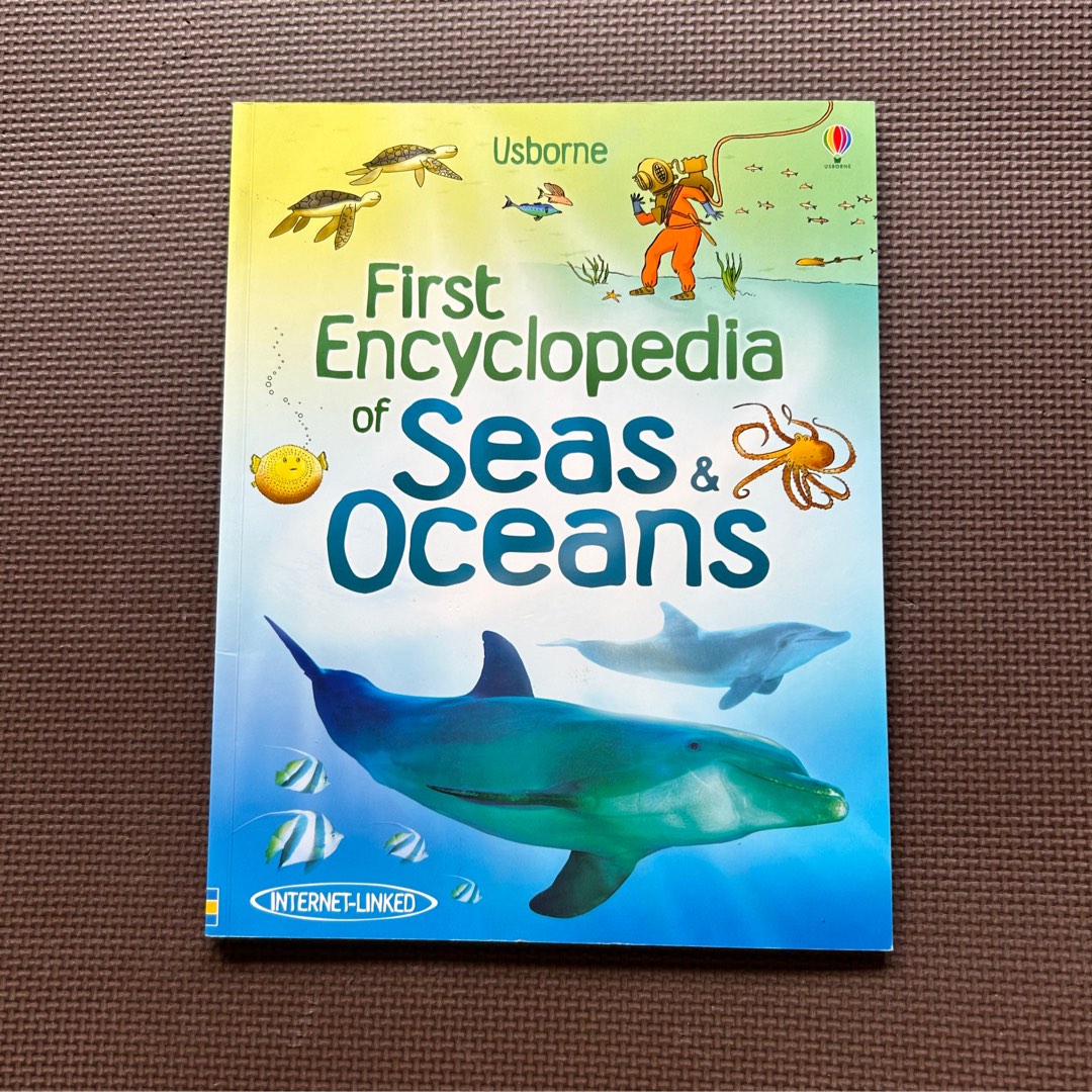Usborne First Encyclopedia of Seas & Oceans, Hobbies & Toys, Books ...