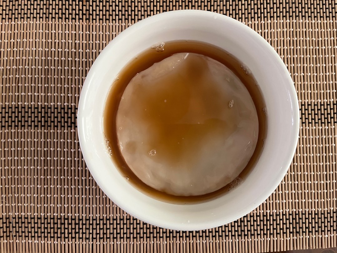Kombucha Scoby with Starter Tea, Health & Nutrition, Health Supplements ...