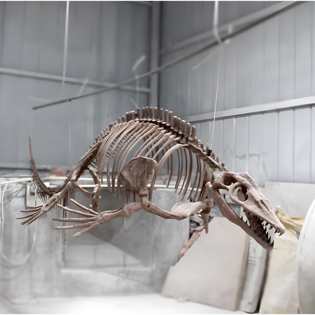 13.1ft 4 Meter Long Mosasaur Skeleton Museum Replica, Hobbies & Toys ...