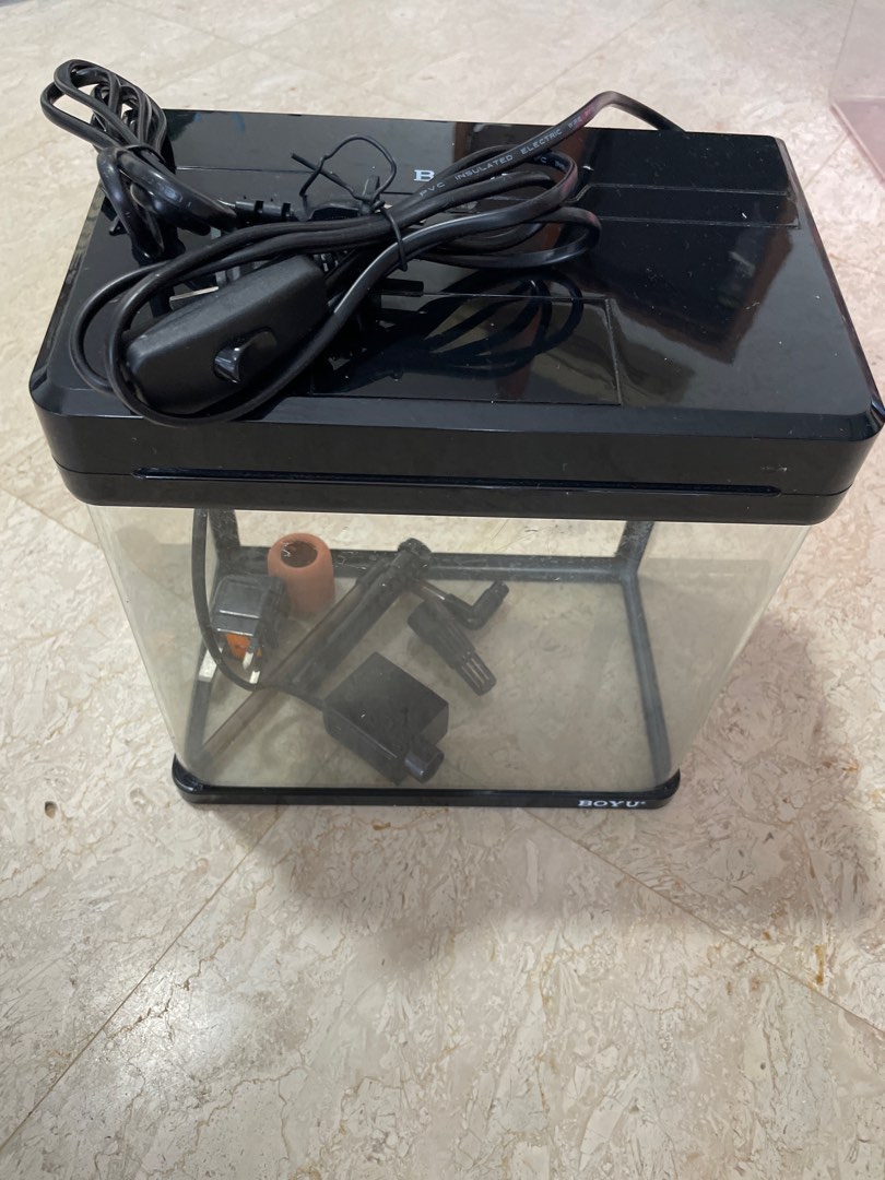 BOYU Mini Fish Tank with Filter Pump, Pet Supplies, Homes & Other Pet ...
