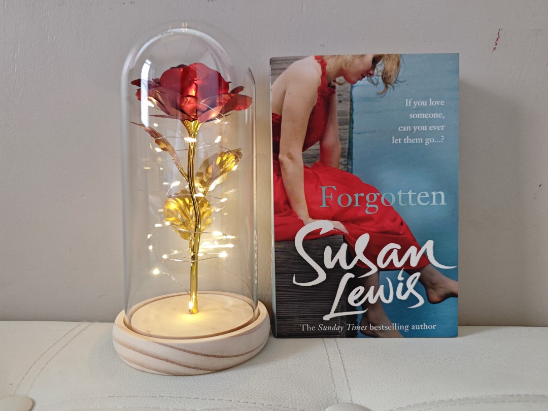 FORGOTTEN - Susan Lewis, Hobbies & Toys, Books & Magazines, Fiction ...