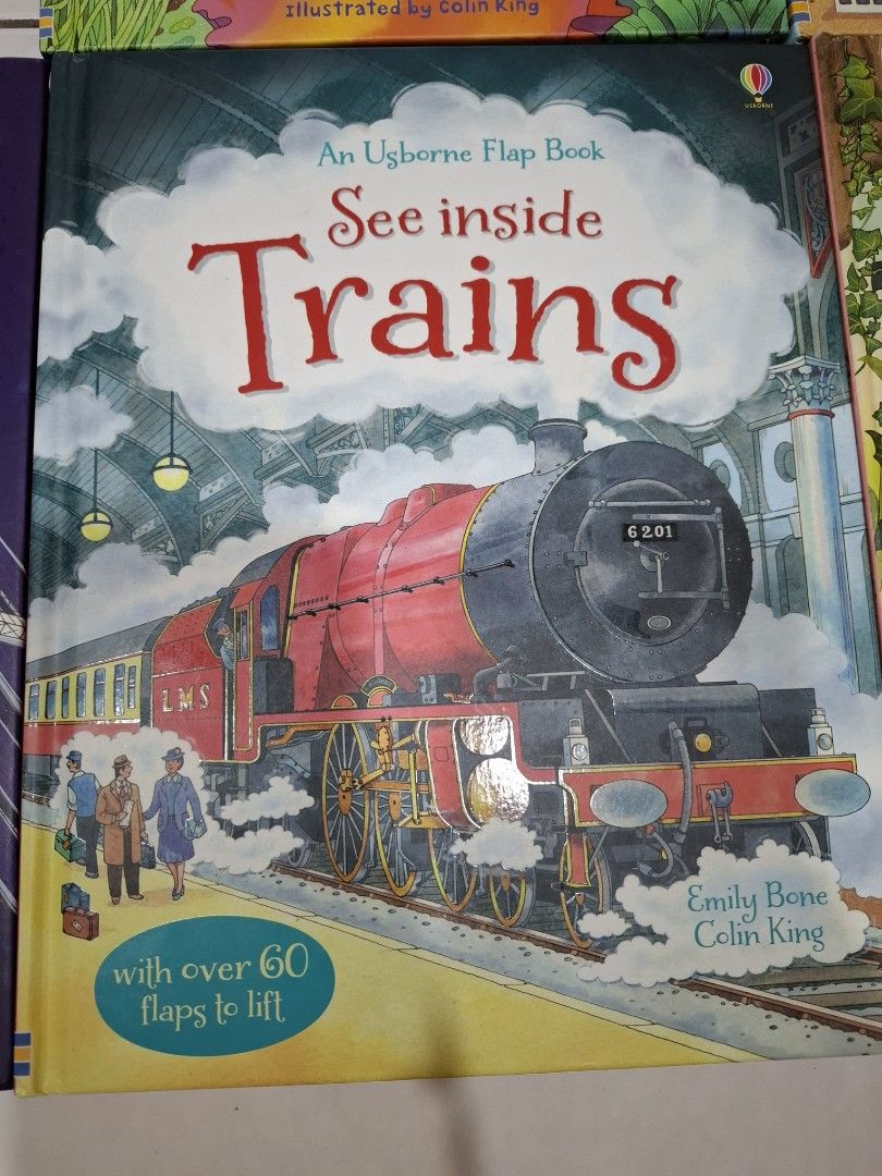 Usborne Flat Book See Inside, Hobbies & Toys, Books & Magazines ...