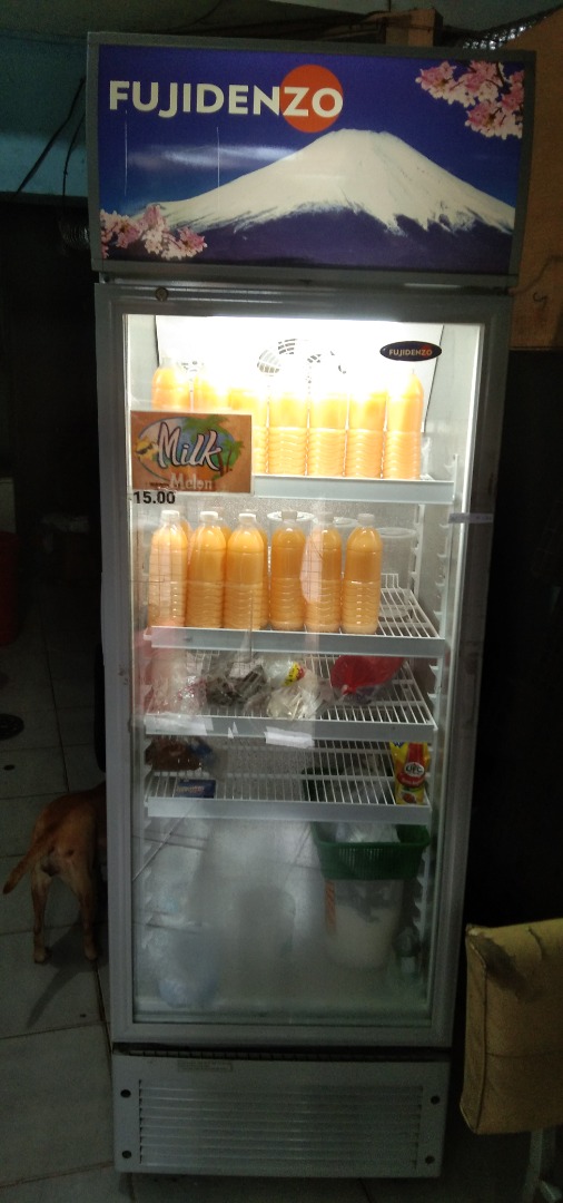 Chiller Ref -Fujidenzo, TV & Home Appliances, Kitchen Appliances ...