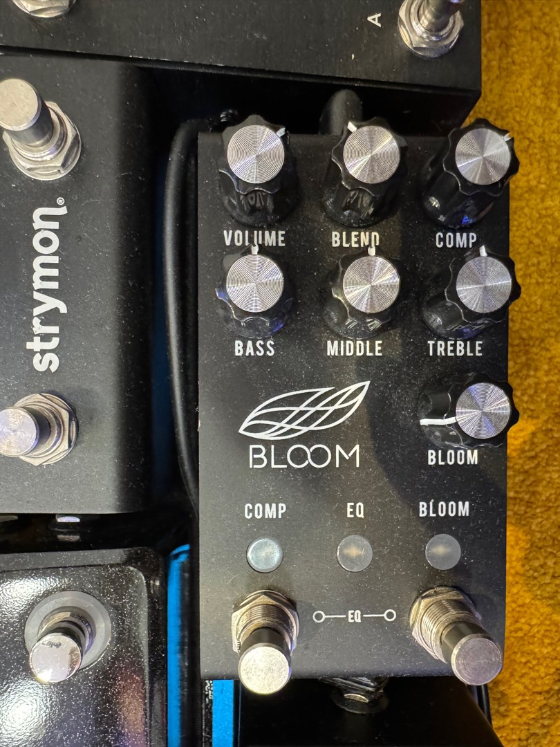 Jackson Audio Bloom Compressor/EQ/Boost V2 MIDI , Hobbies & Toys ...