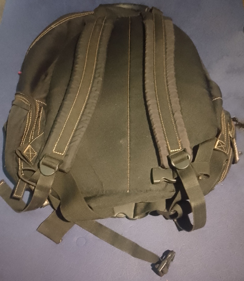 Vintage 90's SHORTY'S X Chad Muska Skate back pack, Sports Equipment ...