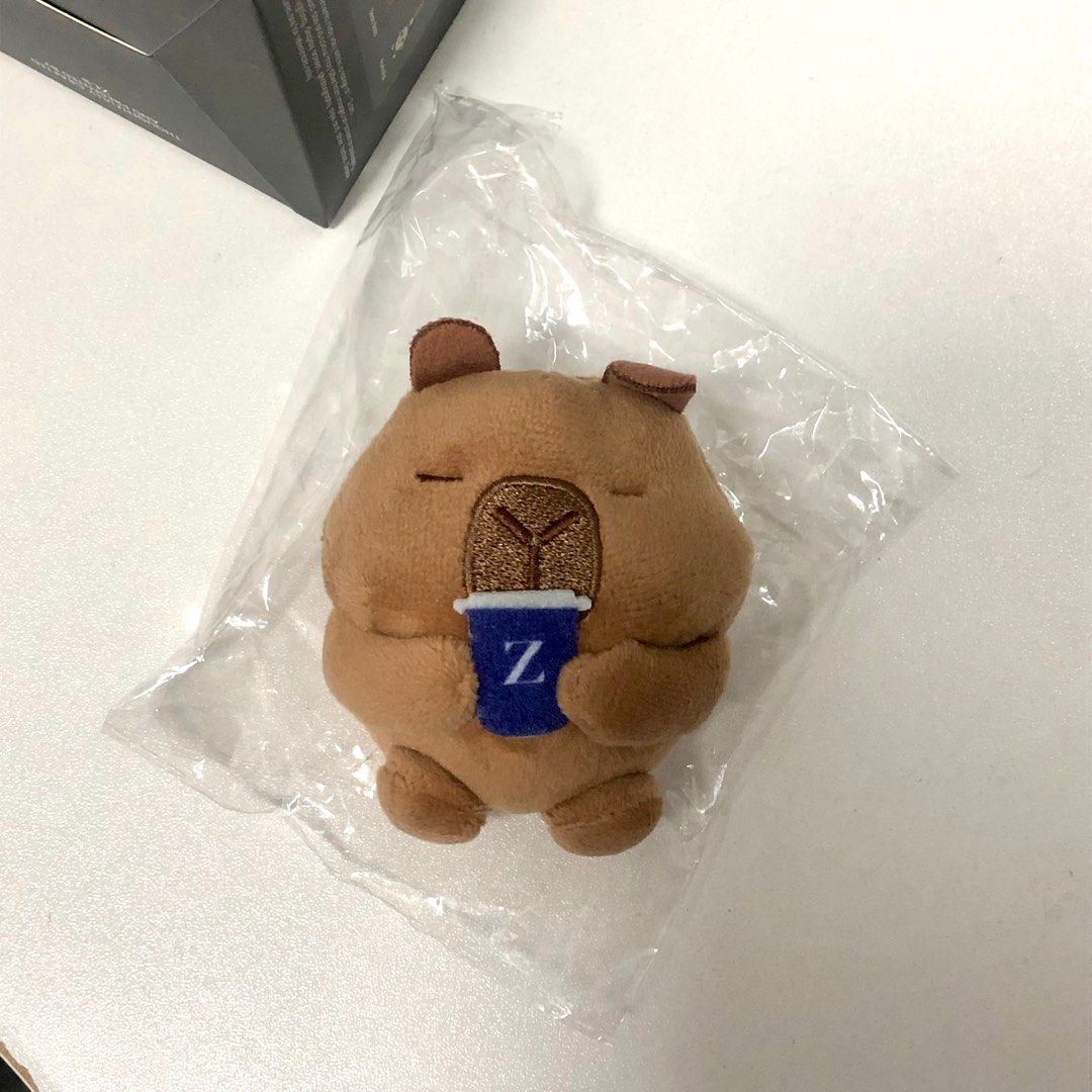 Zus coffee Capybara plushie pin, Hobbies & Toys, Collectibles ...