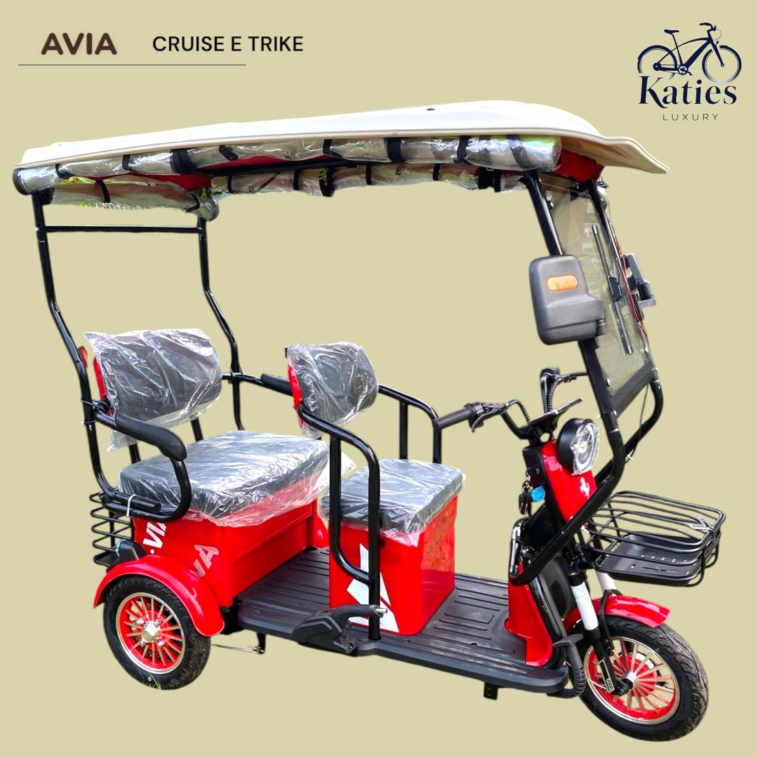 AVIA CRUISE E TRIKE - 3 WHEELS EBIKE UPGRADED VERSION, Everything Else ...