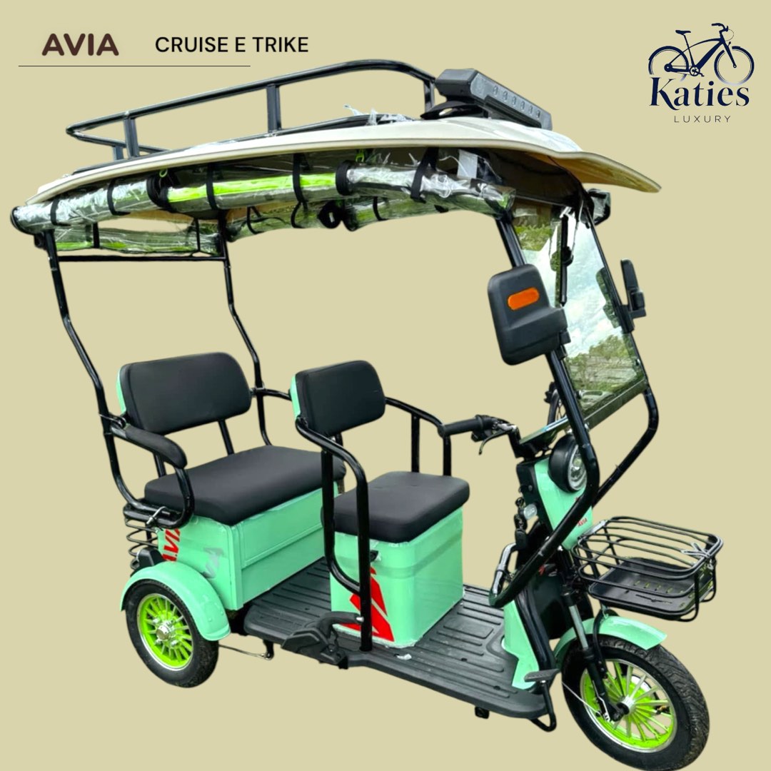 AVIA CRUISE E TRIKE - 3 WHEELS EBIKE - UPGRADED VERSION, Everything ...