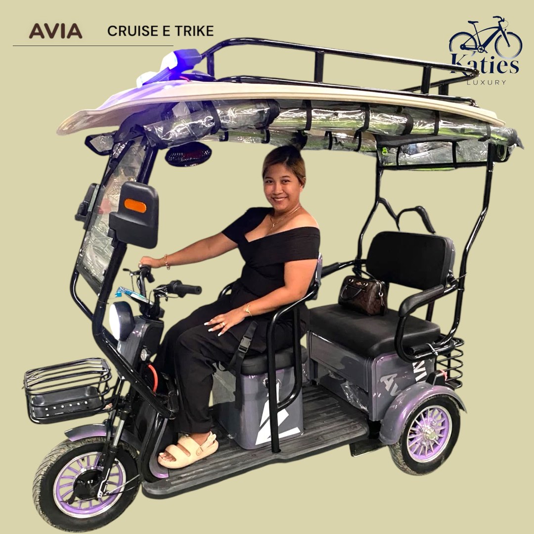 AVIA CRUISE E TRIKE - 3 WHEELS EBIKE - UPGRADED VERSION, Everything ...