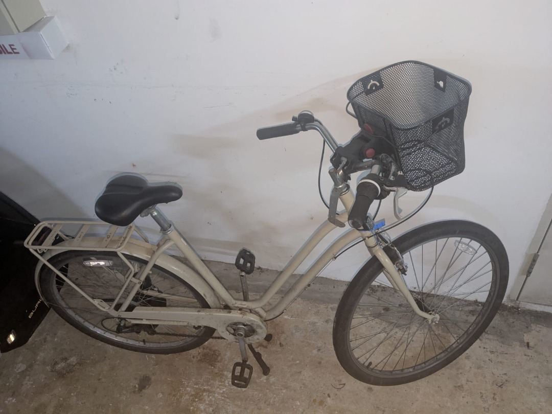 City Bike Elops 120 6 Speed - Brown with Basket 60 SGD [Available mid ...