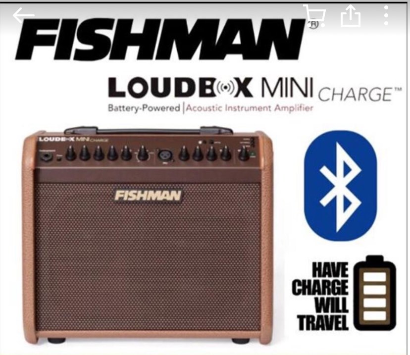 Fishman Loudbox Mini Charge 60W Battery Powered Acoustic Guitar ...