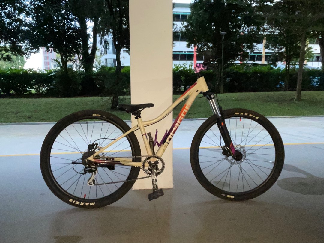 Polygon cleo 2 MTB , Sports Equipment, Bicycles & Parts, Bicycles on ...