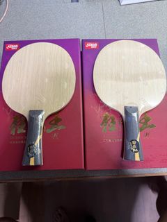 DHS Q968 Wang Chuqin table tennis blade No.10, Sports Equipment, Sports ...