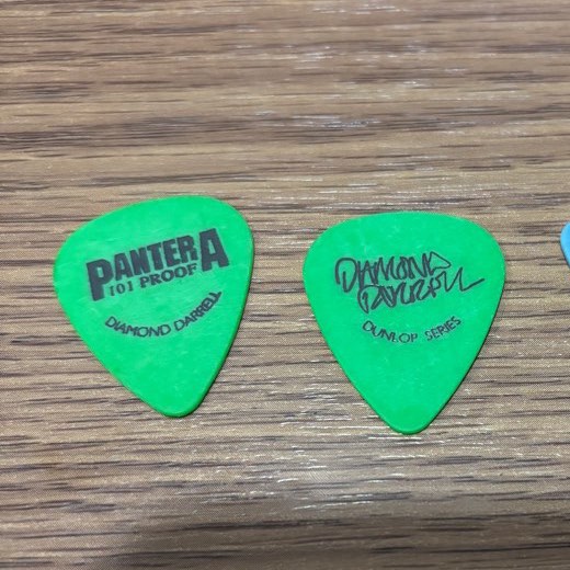 Guitar pick Dimebag Darrell Pantera Damageplan tour, Hobbies & Toys ...