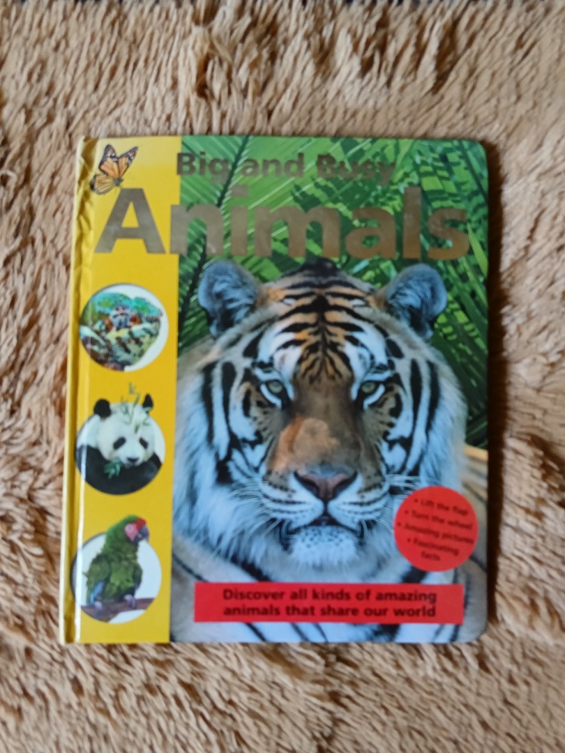 Big and Busy Animals (Interactive big bb), Hobbies & Toys, Books ...