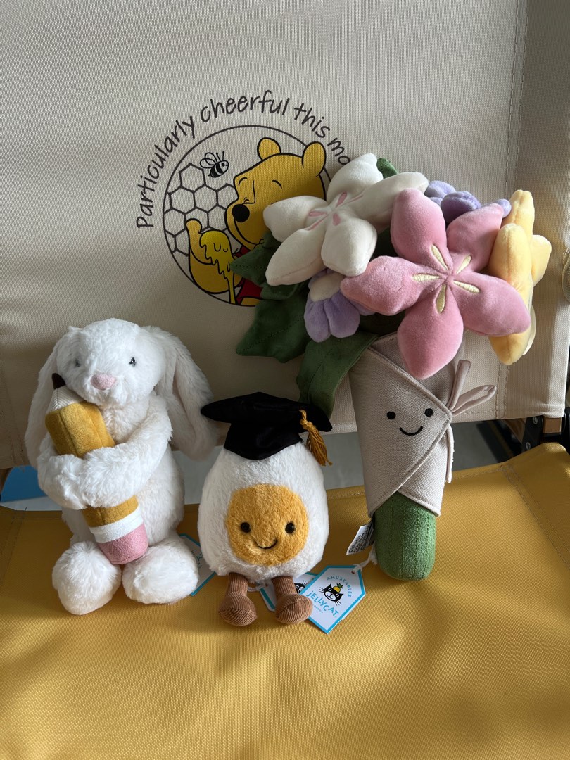 Jellycat graduation egg celebration bundle, Hobbies & Toys, Toys ...