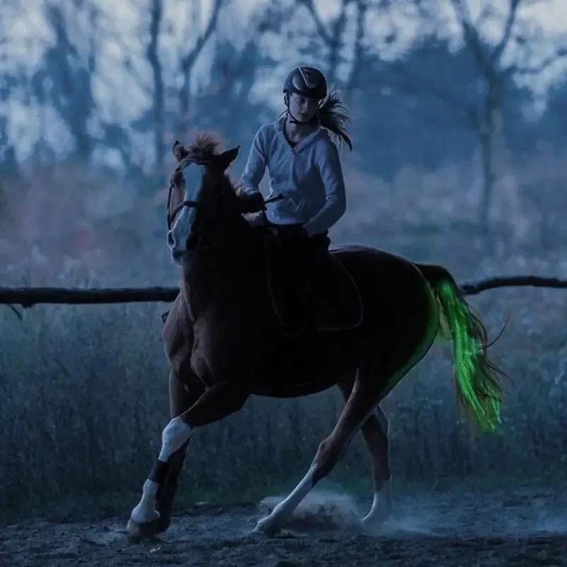 100 CM Long Rechargable LED Horse Riding Tails Decoration Luminous ...