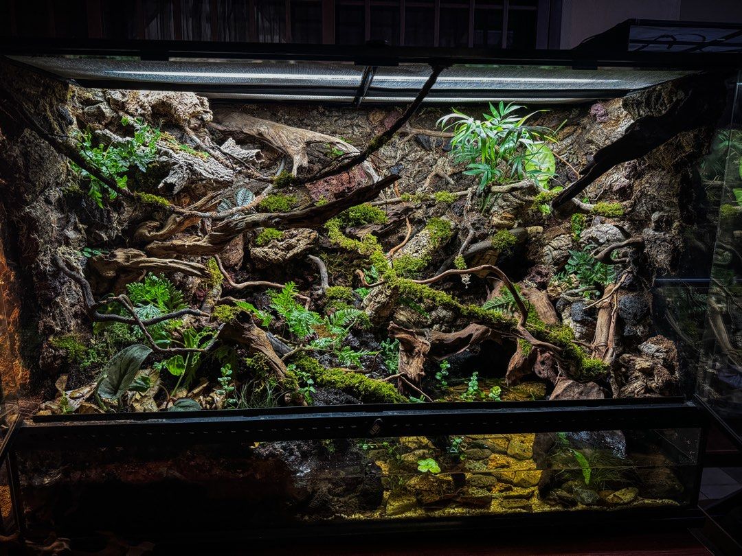 Custom Paludarium, Vivarium, Terrarium, Pet Supplies, Homes & Other Pet ...