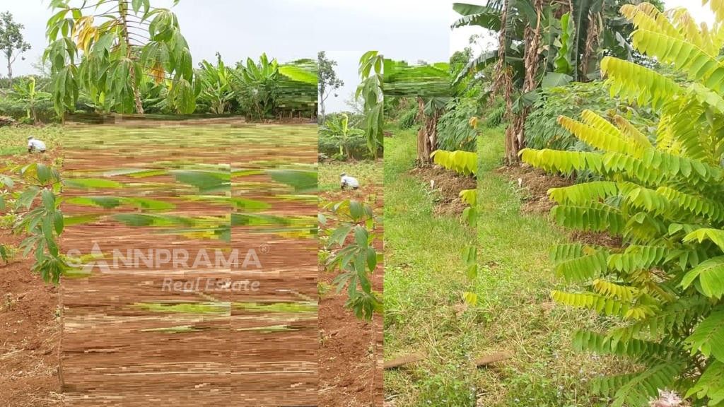 Sebidang tanah SHM dijual di Bedahan sawangan Depok cocok untk dibangun ...
