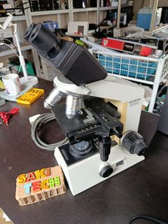 Acustop 40mg 1 pack x 6 sheets (10cm x 14cm) Analgesic Joint Back ...